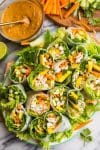 Chicken Avocado & Mango Summer Rolls - A Saucy Kitchen