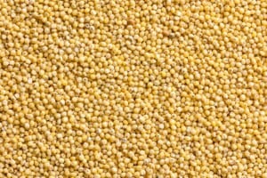 Millet Flour - How & Why To Use It - A Saucy Kitchen