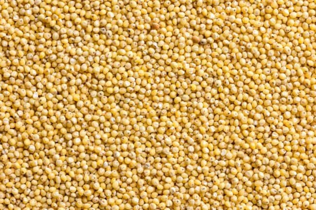 Millet Flour - How & Why To Use It - A Saucy Kitchen
