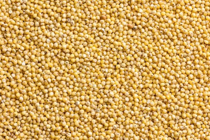 Millet Flour - How & Why To Use It - A Saucy Kitchen