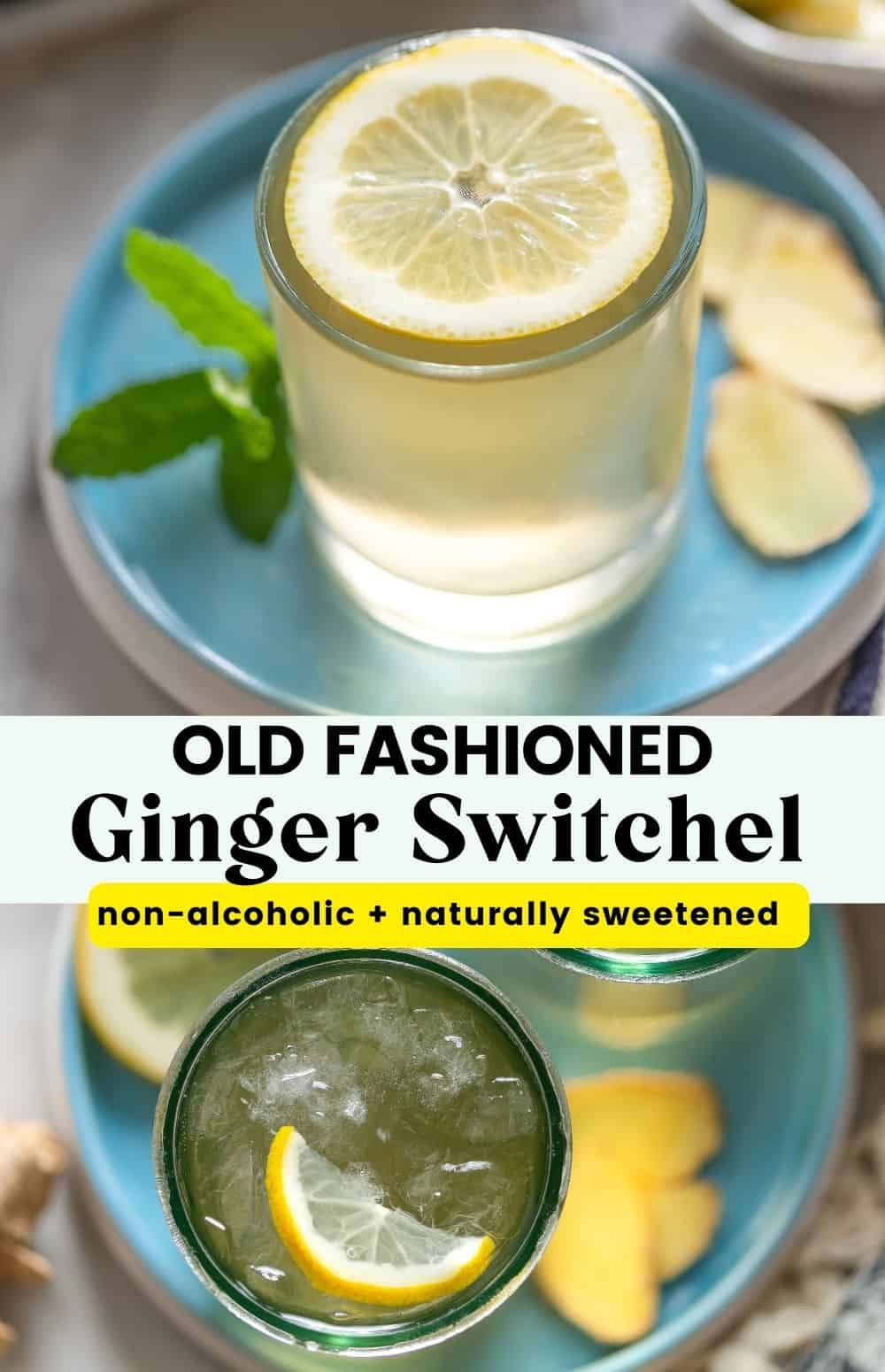 Ginger Switchel Recipe (Haymaker's Punch) - A Saucy Kitchen