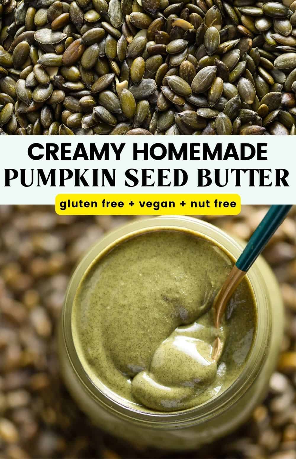 Homemade Pumpkin Seed Butter - A Saucy Kitchen