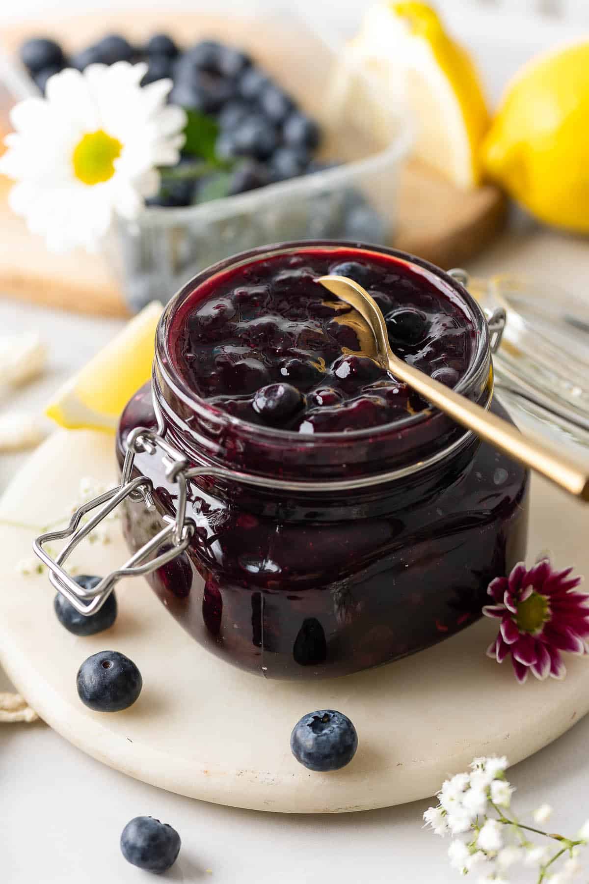 Blueberry Pie Filling Sauce - A Saucy Kitchen